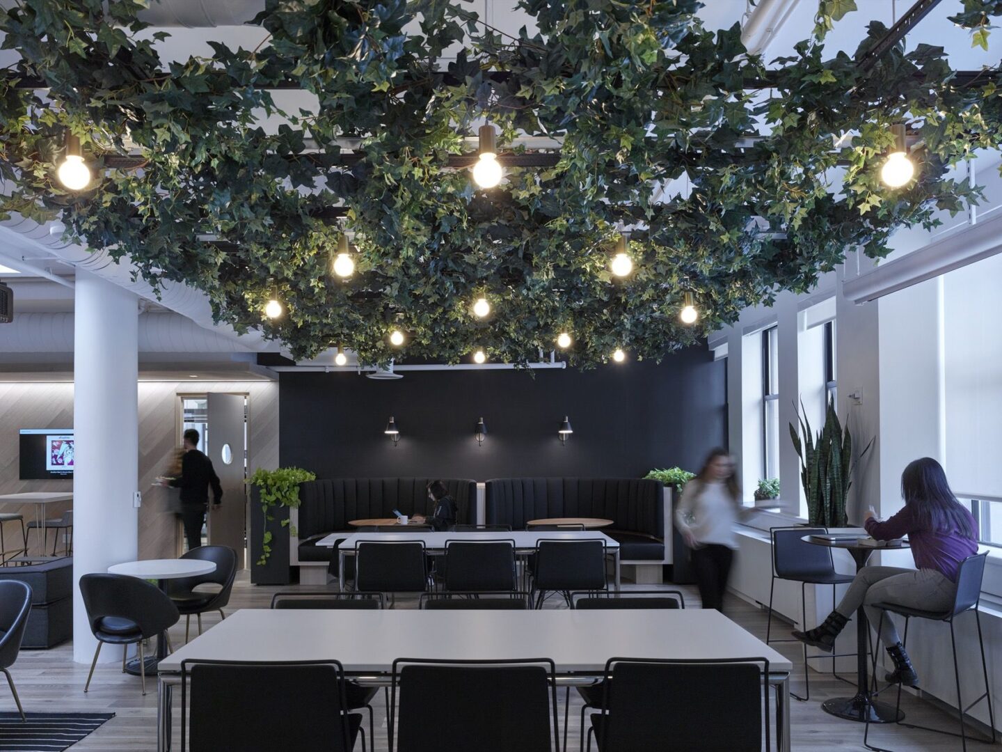 Compass New York - Vocon